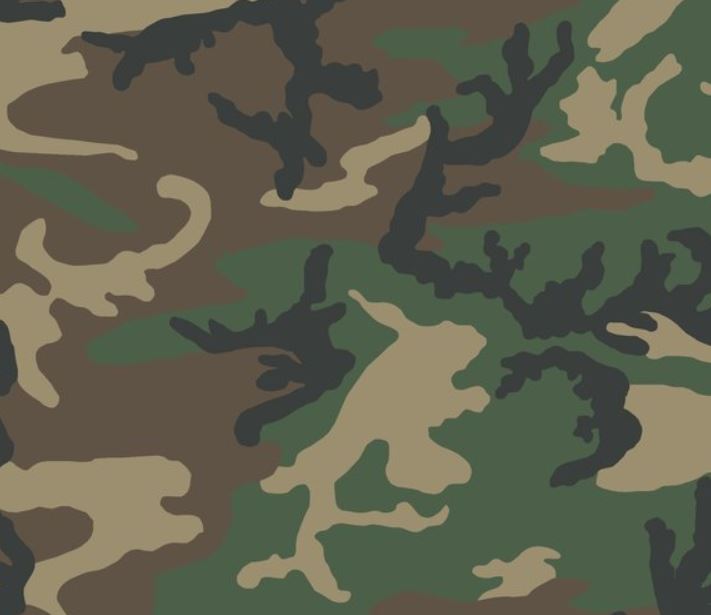 Camo Collection: M81 – ODGG, LLC